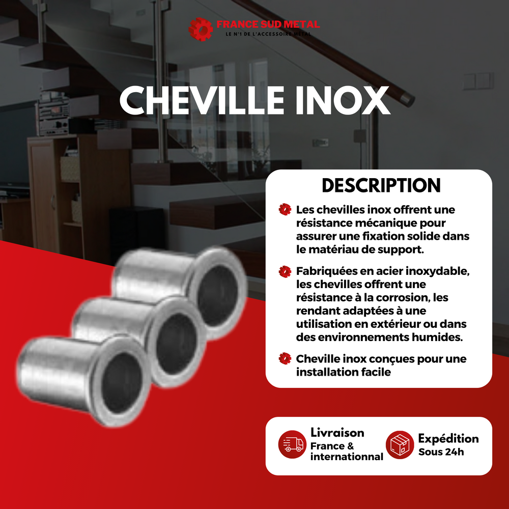 Cheville inox